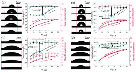 The Variation In The Base Diameter Bd And Contact Angle Ca Of A