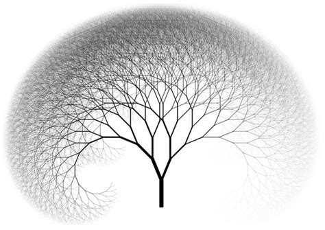 Algorithms Recursion Backtracking Dp