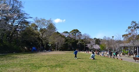 三ツ池公園多目的広場 三ツ池公園 地図 三ツ池公園近く の予約できる駐車場 Lrybjs