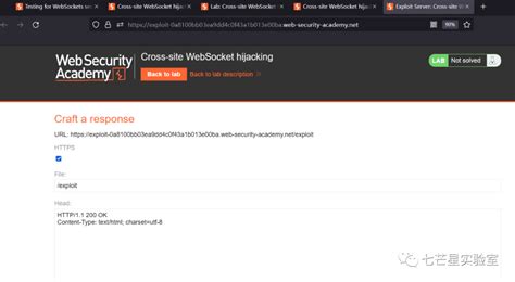 Websocket攻防对抗安全指南 腾讯云开发者社区 腾讯云