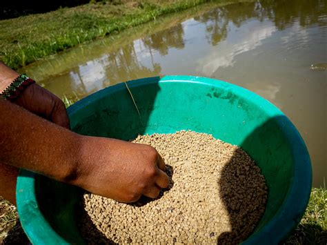 Biodiversity Gains And Losses The River Yala Basin Now Photostory