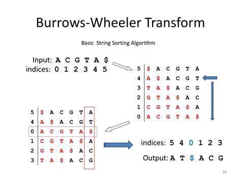 Ppt Sequence Alignment In Dna Powerpoint Presentation Free Download Id2390809