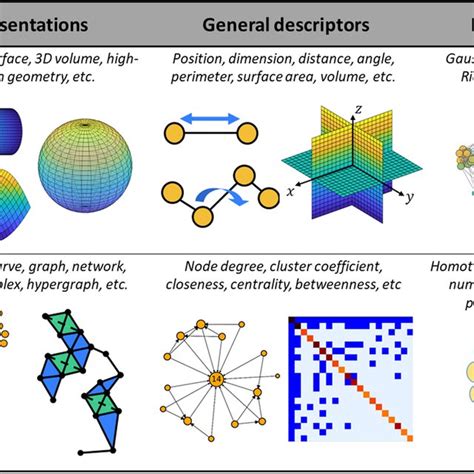 Illustration Of Geometrical And Topological Representations General Download Scientific