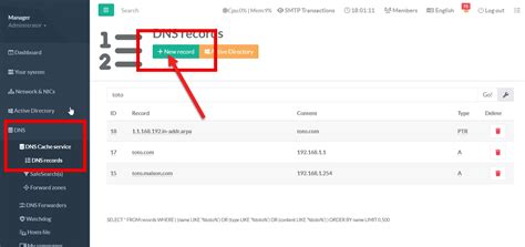 manage dns records using the artica web console artica wiki