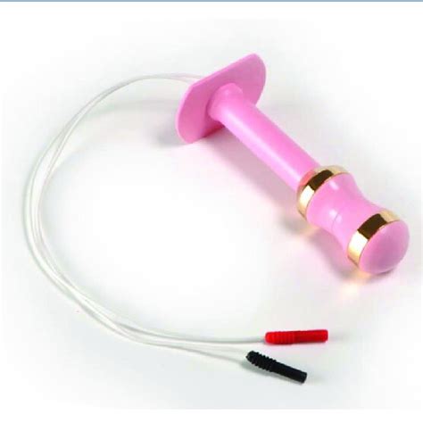 Intravaginal Probe Used With Transcutaneous Electrical Nerve Download Scientific Diagram