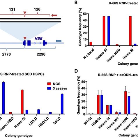 Unintended Large Gene Modifications Are Common For Crispr Grnas A Download Scientific