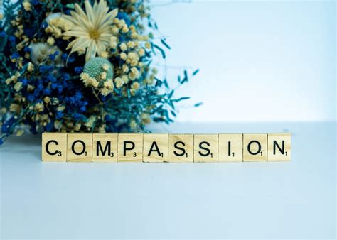 Compassion And Responsibility — Finding The Right Balance Elis Place