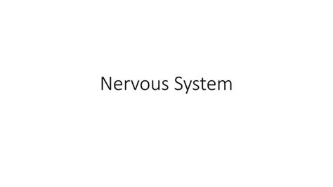 Nervous System0 Neurology 101 Pptx