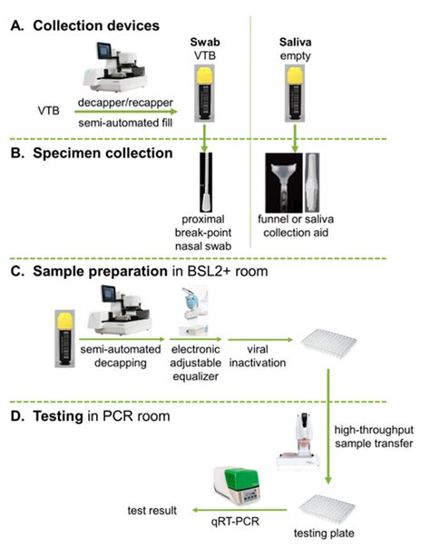 Extraction Free Testing For Sars Cov 2 In Nasal Swab And Saliva Samples