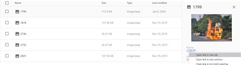 unable to load image from firebase storage using flutter image network