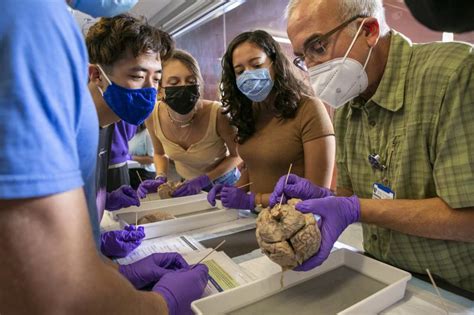 Undergraduate Duke Institute For Brain Sciences
