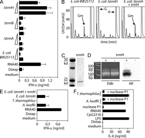2′ O Methylation At Trna Position G18 Is Responsible For Download Scientific Diagram