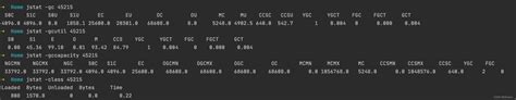 jvm 十 性能调优 jvm调优主要是调哪里 csdn博客