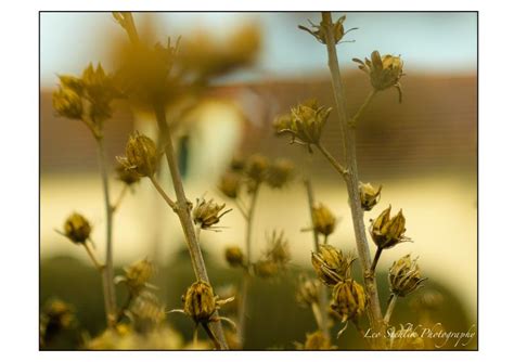 Leo Stehlik On Linkedin One Underrated Place To Get Ideas Nature Have A Lovely Start To The