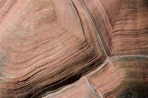 Turtle Shell Background Stock Image Image Of Scales 302648711