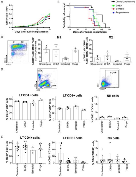 Sex Steroid Modulation Of Macrophages Within The Prostate Tumor Microenvironment Abstract