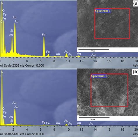 Sem Edx Spectrum Of Particle Surface A And Cross Section B Of