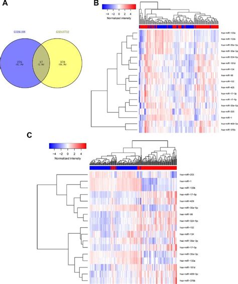 Determination Of Differentially Expressed Mirnas We Analyzed Data Of