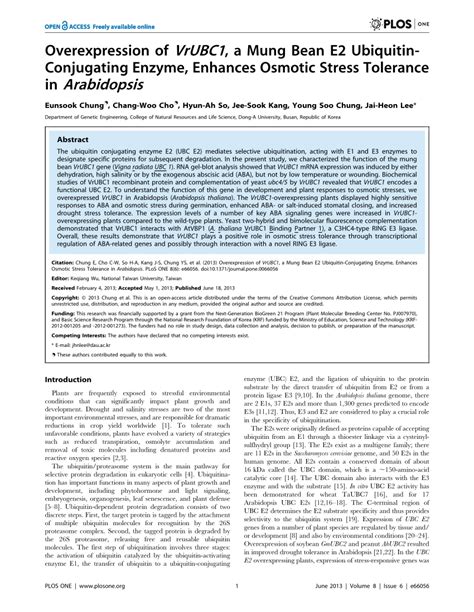 Pdf Overexpression Of Vrubc1 A Mung Bean E2 Ubiquitin Conjugating