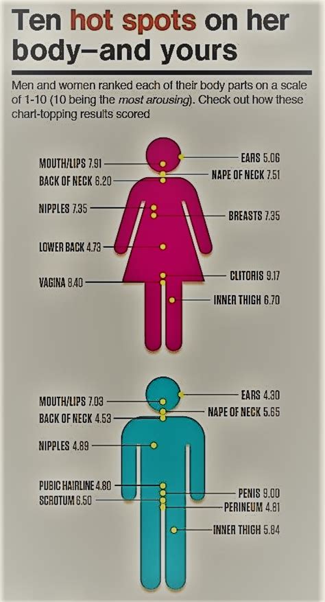 The Novice Writer Sex Explained
