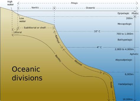 The Terra Tabloid April 2008 Our Multi Layered Earth From Inside Out
