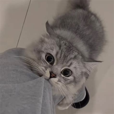 Kim Chi Chichie On Threads Kim Chi Chichie On Threads