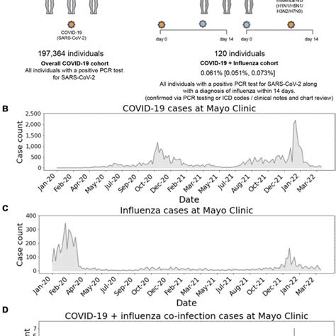schematic representation of cohort definitions and analysis of daily