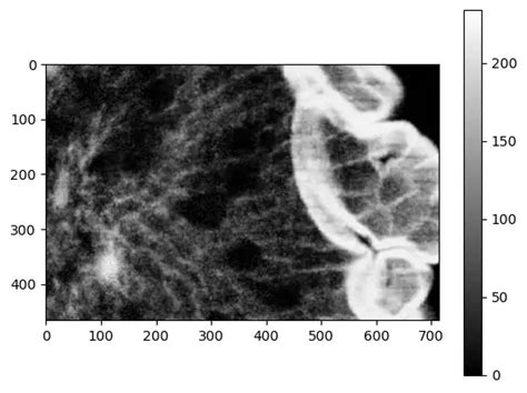 Image Data With Numpy And Matplotlib Ibots Learning Platform