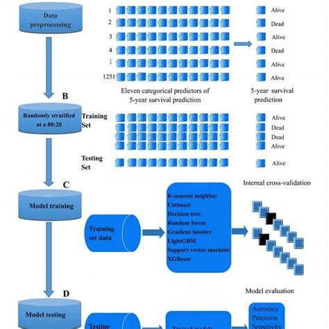 The Flowchart Of Machine Learning Development Process Auc Area Under