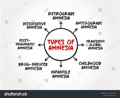 Anterograde Amnesia Examples
