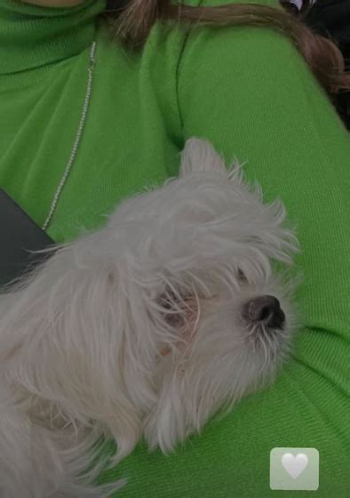 ფოტო ”ირაკლის და ლიზას ოჯახში მატებაა…” ნახეთ ლიზა სასიამოვნო სიახლეს ავრცელებს