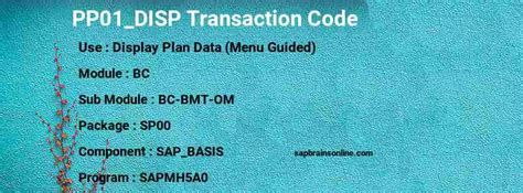 Pp01 Disp Sap Tcode For Display Plan Data Menu Guided