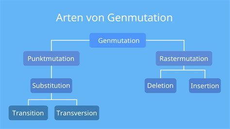 Was Ist Eine Mutation