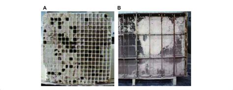 Scr Catalyst Plugged A And Deactivated B Li Et Al 2016 Download Scientific Diagram