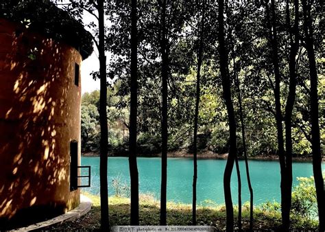 潭边休憩图片 其他 自然风景 图行天下素材网
