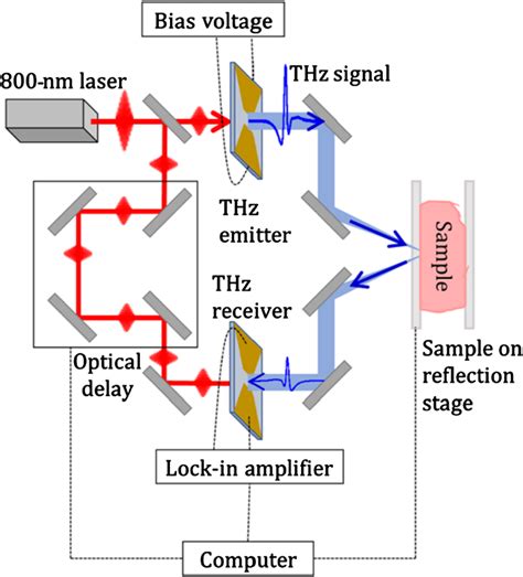 Terahertz Radiation And The Skin A Review