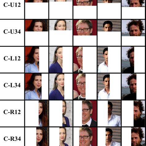 Modified Celeba Dataset Samples For Partial Faces Download Scientific Diagram