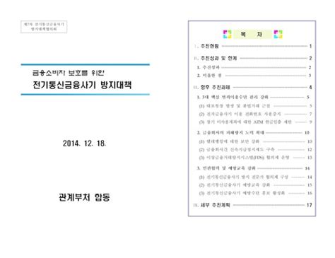 금융소비자 보호를 위한 전기통신금융사기 방지대책