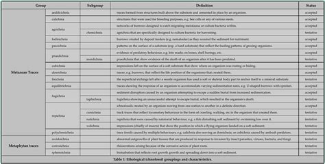 Fossil Finds Trace Fossils Fossil Finds In New Zealand