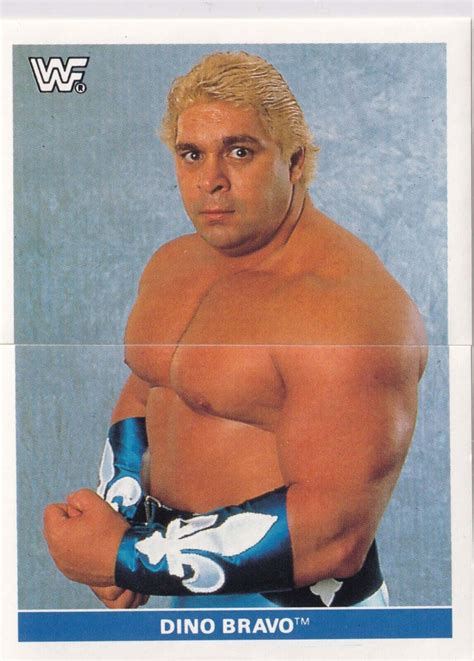 Download Dino Bravo Wallpaper Helt Gratis 100 Dino Bravo Wallpapers