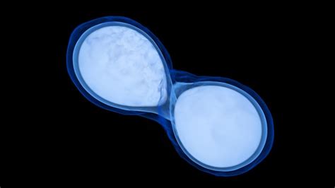 New Simulations Reveal Hot Neutrinos Trapped During Neutron Star Collisions Spacenews Youtube