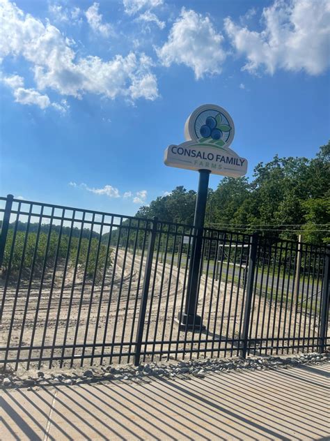 Michael Giordano On Linkedin Jerseyfresh