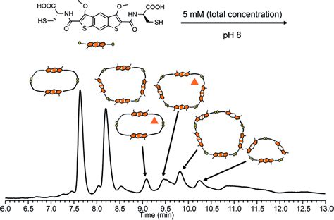Reverse Phase Hplc Analysis Of 2 5 Mm Concentration Without Any