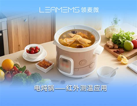 领麦微 Mems红外测温传感器 温度传感器 气体传感器 传感器模组应用服务商 芯创睿胜官网