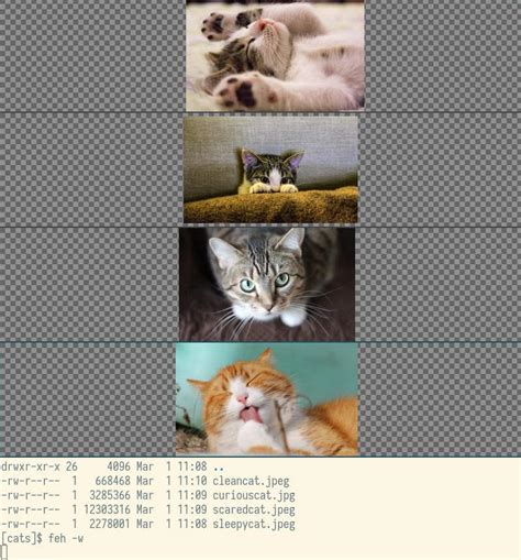 Feh The Image Viewer For Your Terminal Make Tech Easier