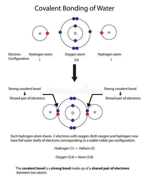 Oxygen Covalent Bond