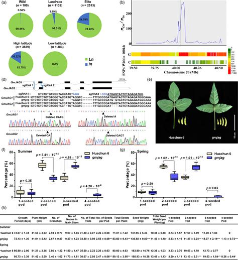 Figure From CRISPR Cas Mediated Gene Editing Of GmJAGGED Increased Yield In The Lowlatitude