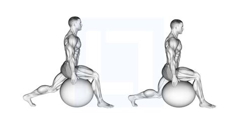 Recumbent Hip External Rotator And Hip Extensor Stretch Guide