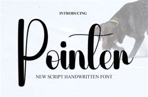 Pointer Font Digital Font Download