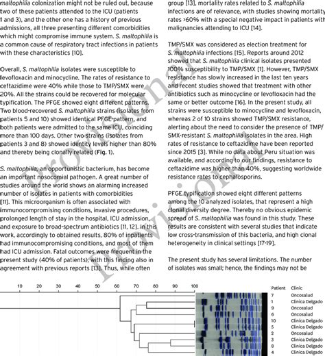 Dendrogram Of The Obtained Xbai Pfge Profiles Of Clinical Download Scientific Diagram